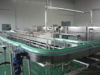 China Fully Automatic Mineral Water Production Plant for Beverage Production Optimization for sale