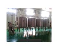 China 300L/H Milk Production Line The Perfect Choice for Yogurt Cheese and Butter Processing for sale