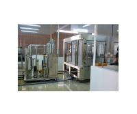 China Food Beverage 6000-8000 Cans/Hour Capacity Carbonated Energy Drinks Production Plant for sale