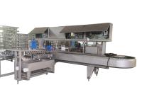 China Professional 380V/440V Stick Ice Cream Production Line with Multifunctional Features for sale