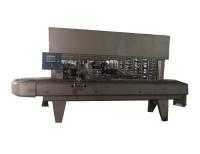 China Professional 380V/440V Stick Ice Cream Production Line with Multifunctional Features for sale