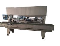 China Professional 380V/440V Stick Ice Cream Production Line with Multifunctional Features for sale