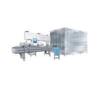 China Customizable and High Productivity Ice Lolly Processing Line for Optimal Production for sale