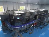 China Customized Belt Conveyor for Water Production Line in Juice Processing Plant Designed for sale