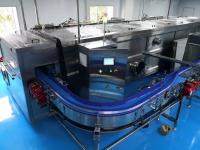 China Customized Belt Conveyor for Water Production Line in Juice Processing Plant Designed for sale