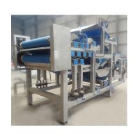 China Manufacturing Plant Belt Type Fresh Fruit Press And Juice Extractor With Easy Operation for sale