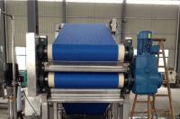 China Manufacturing Plant Belt Type Fresh Fruit Press And Juice Extractor With Easy Operation for sale