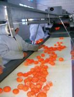 China Raw Material 7 Hawthorns Filling Machine for Fresh Fruit Juice Production Line Output for sale