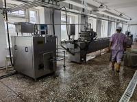 China Professional SUS316L/SUS304 Farms Ice Cream Stick Processing Machinery for Farms for sale