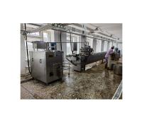 China Professional SUS316L/SUS304 Farms Ice Cream Stick Processing Machinery for Farms for sale