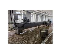China Upgrade Your Production Line with Our 220v/380v Popsicle Ice Cream Making Line for sale