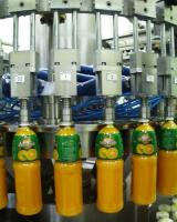 China Revolutionary Papaya Flavoured Juice Production Plant for Beverage Production for sale