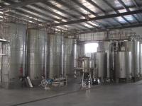 China Revolutionary Papaya Flavoured Juice Production Plant for Beverage Production for sale