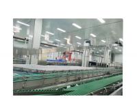 China Stainless Steel 304/316 Fresh Fruit Pulp Raspberry Puree Processing Plant for Beverage for sale