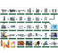 China Automatic Grade Automatic 6000b/h Pineapple Juice Making Plant with 8500 KG Capacity for sale