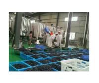 China Filling Accuracy 100% Beverage Machinery Plastic/SUS304 Belt Material Production Line for sale
