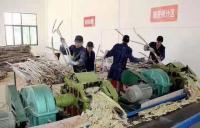 China Full Automatic 100-1000kg/h Cane Sugar Production Line for Sugar Refining Plant for sale