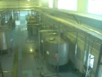 China Manufacturing Plant 3000L/H Dairy Production Line for Milk Yogurt Ice Cream and Kefir for sale