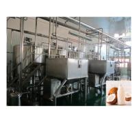 China Aseptic Processing Type 3 Soy Milk Carton Production Line for UHT Coconut Milk Drinks for sale