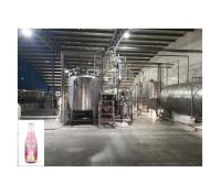 China Revolutionise Your Soy Milk Production with Customised Voltage Processing Machinery for sale