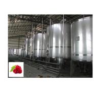 China Stainless Steel 304/316 Fresh Fruit Pulp Raspberry Puree Processing Plant for Beverage for sale