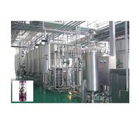 China TURNKEY PROJECT FOR BLACKBERRY CIDER PACKING PLANT AND BEVERAGE PROCESSING LINE 0.5-500T/H for sale