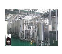 China TURNKEY PROJECT FOR BLACKBERRY CIDER PACKING PLANT AND BEVERAGE PROCESSING LINE 0.5-500T/H for sale