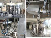 China Plate Heat Exchanger Milk Pasteurizer with 220V/380V/415V/440V/480V Voltage for sale