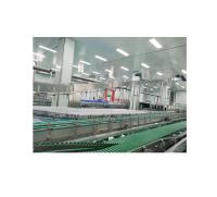 China Stand-up Pouch Vegetable Flavoured Juice Production Line for Processing Type 1 Vegetable for sale