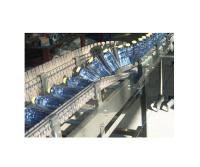 China Precise Processing Juice Bottle Sterilizer Inverted Bottle Sterilizing Machine for sale