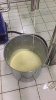 China 50L/H Milk Cream Separator Milk Skimming Machine for Sanitary in Food Beverage Shops for sale