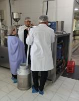 China 300L/H Continuous Ice Cream Freezer Perfect for Busy Factories and Production Lines for sale