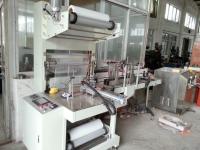 China Food Beverage Semi Automatic Cola Can Shrink Wrapping Machine with Semi-automatic Grade for sale
