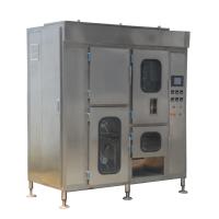 China 3000 Packs/hr Aseptic Milk Pouch Filling Machine Latest Model for Beverage Industry for sale