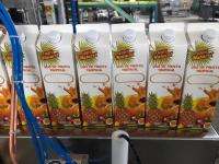 China 500b/h Juice Milk Gable Top Carton Filling Machine for Normal Temperature Storage for sale