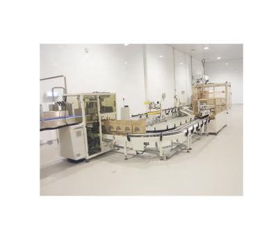 China Full Automatic Bottle Carton Packing Machine for Customer Requirements for sale
