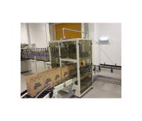 China Full Automatic Case Packer for Bottles Advantage 100% Automatic Grade Automatic for sale