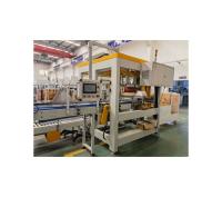 China Electric Driven Bottle Top Loading Carton Packing Machine with PLC Control Technology for sale