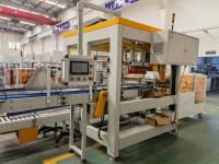 China Automatic Grade Automatic Function Packing Beverage Bottles Case Packing Machine for sale