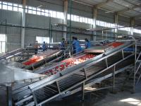 China Continuous PLC Controlled Tomato Ketchup Paste Production Line With Automatic Labeling for sale