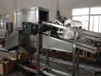 China High Capacity Automatic Coconut Water Extractor Machine For Coconuts for sale