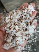 China High Capacity Semi-automatic Coconut Peeling Machine Function Peeling Coconut Capacity 3-7 Pcs/min for sale