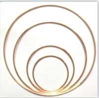 China Automatic Ring Making Machine 2-8mm Wire Diameter 380V 50Hz CNC Servo Control for sale