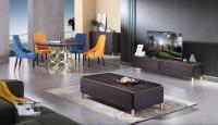China Modern Luxury Coffee Table Set CT-1621 Series - 1300×700×450mm Stainless Steel Frame with Multiple Top Options for sale