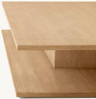 China Modern Coffee Table 1200x600x450mm Wood Top Stainless Steel Base Customizable for sale
