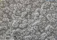 China 12μm  ~18 Μm  Resistance Copper Foil for Automotive Electronics for sale