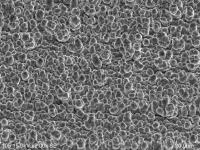 China 105μm High Precision Ultra Wide Calendered Thick Copper Foils for sale