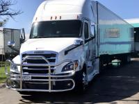 China OEM Polishing Sanding Truck Deer Guard For Freightliner Cascadia for sale
