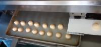 China Maamoul Filled Cookies Food Encrusting Machine 3000 - 6000pcs/H for sale