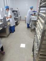 China OEM HONGXIN 8500w Churros Automatic Machine for sale